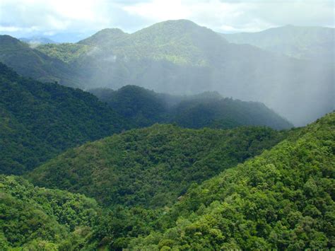 What Is A Mass Extinction And Are We In One Now