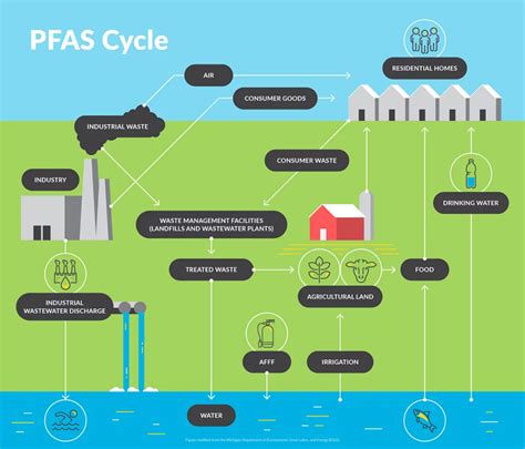 Pfas Cycle Wmeac