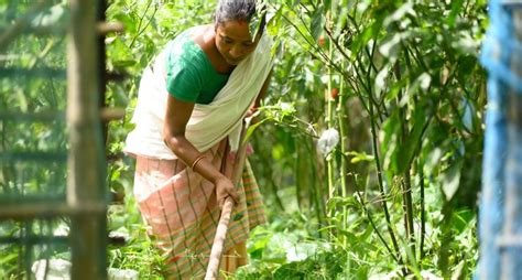 Women Farmers Go Extra Mile In Assam