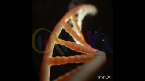 آیا 《امامان و پیامبران وجود داشتند؟》 یا به ما دروغ گفتند؟ Youtube