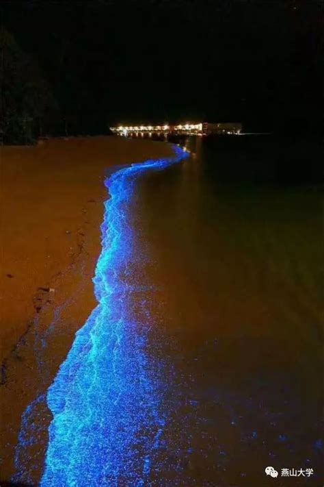 波多黎各荧光海滩攻略波多黎各荧光海波多黎各旅游大山谷图库