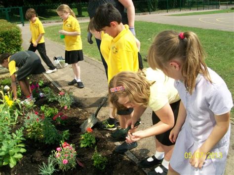 Silver Birch Class Just Another Site