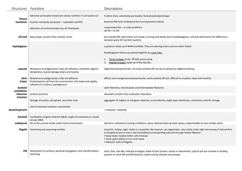 Bacteria Cell Structures And Fucntions Structures Functions