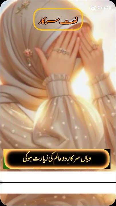 Shortsnaath Shaeef Youtube