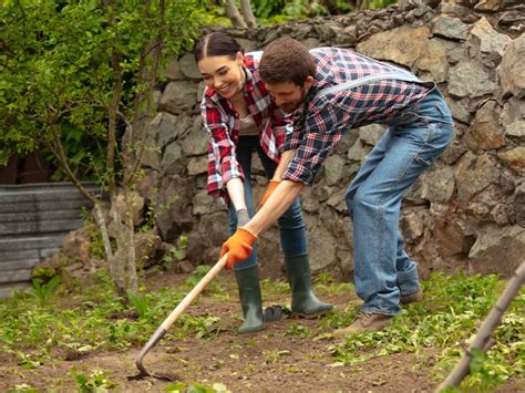 Azadón Con Mango De Madera