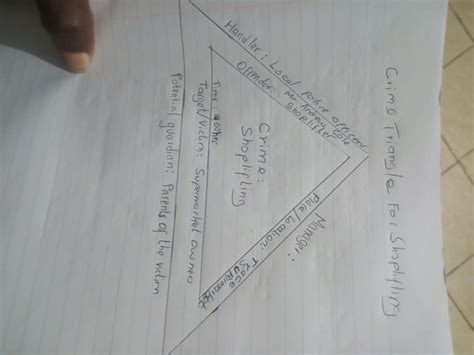 [solved] Apply The Crime Problem Triangle To Shoplifting Shoplifting Course Hero