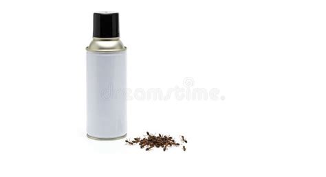 Ant Insecticide Spray And Dead Ants Effective Ant Control Pest