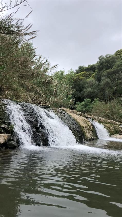 The Tully Trail Artofit