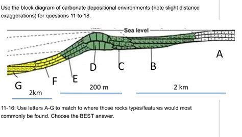 Solved 11 Fenestral Fabric And Primary Dolomite Select
