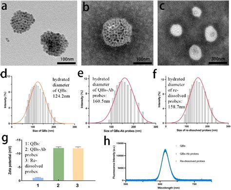 Frontiers Simultaneously Ultrasensitive And Differential Detection Of Sars Cov 2 Adenovirus