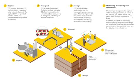 Key Strategies To Include In Your Industrial Decarbonization Plan