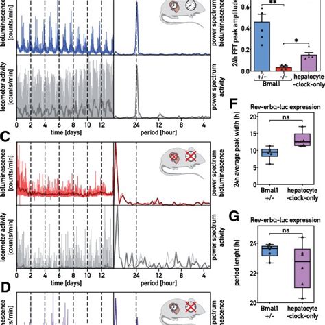 Charles Weitz Harvard Medical School Ma Hms Department Of Neurobiology