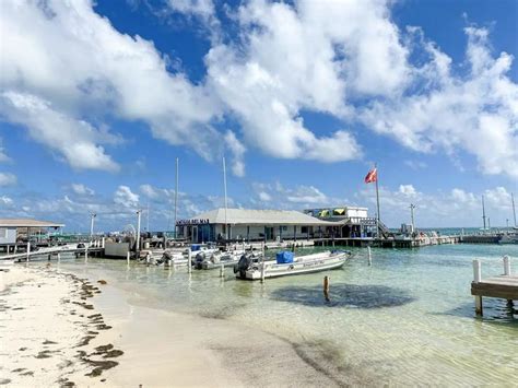 Bugs That Bite In Belize 2024 Update San Pedro Scoop En 2024