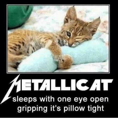 One Eyed Funny Meme Bogo Eye Patch Rfunny