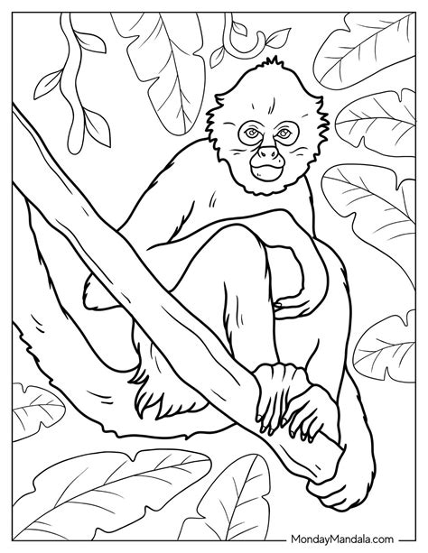 Coloring Sheet Monkey 2025