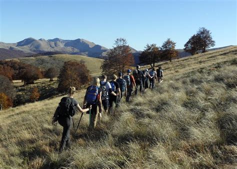 David Lette Posted On Linkedin