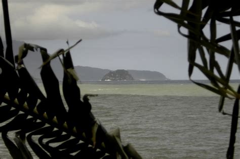 Dsc04072 Mucoide Flickr