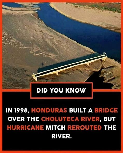 54 Times An Attempt Was Made And Ended With An Embarrassing Fail