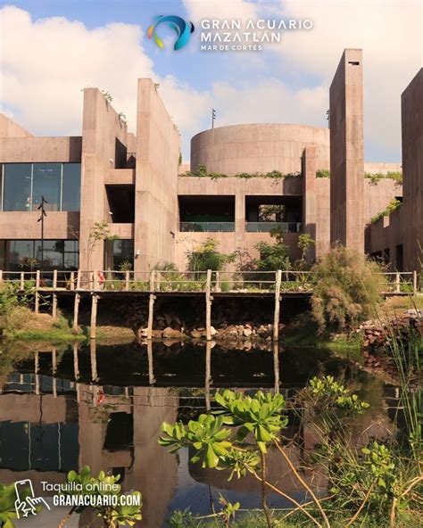 Gran Acuario Mazatlán Qué Ver En El Acuario Más Grande De Latinoamérica
