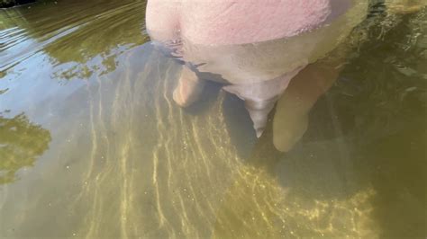 Farting In The River 日本語で Farting In The River 日本語で
