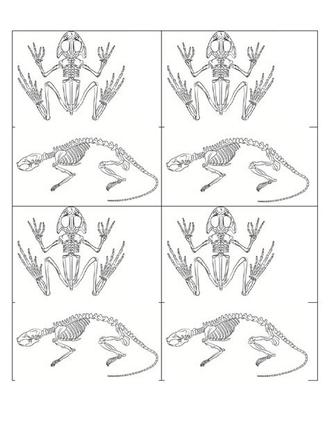 Gr 4 Ws 1 Skeleton Pdf
