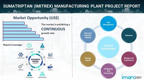 Sumatriptan Imitrex Manufacturing Plant Report Setup Cost