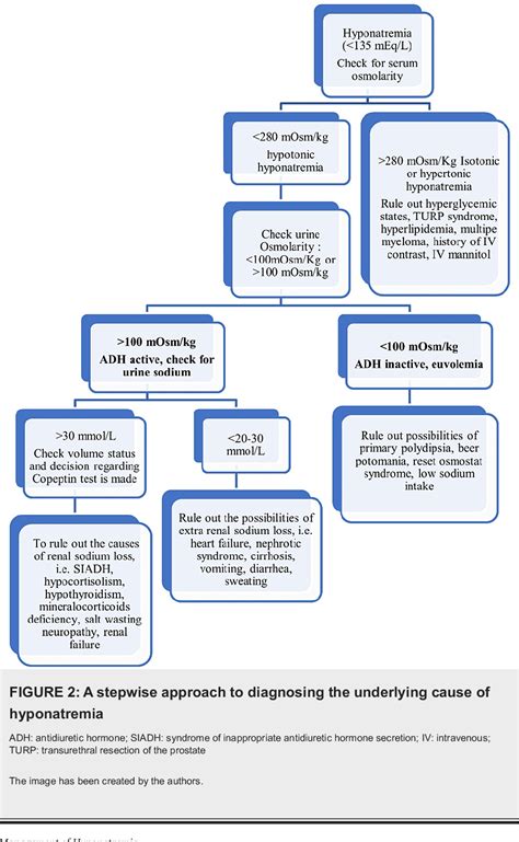Figure 2 From A Conspectus Of Euvolemic Hyponatremia Its Various