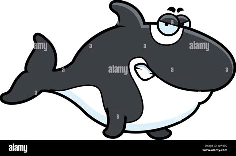 A Cartoon Illustration Of A Killer Whale With An Angry Expression Stock
