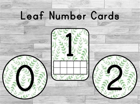 Leaf Pattern Number Cards Teaching Resources