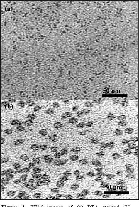 Dendritic Polymer Templates For The Formation Of Nanoparticles In