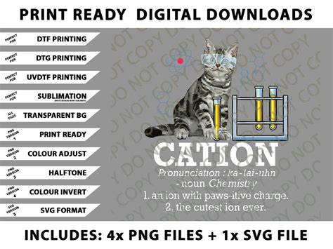 Cation Funny Chemistry Humor Science Teacher Cat Pun Png Bundle Svg