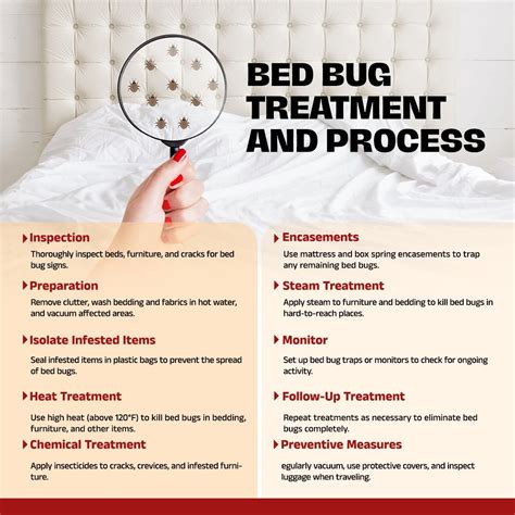 Bed Bug Pest Control Abu Dhabi Bed Bugs Treatment Abu Dhabi