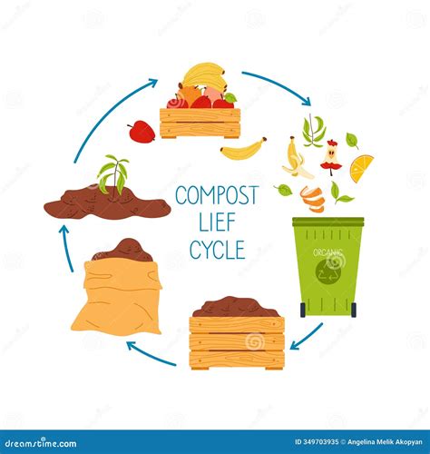 Compost Life Circle Infographic Composting Process Schema Of
