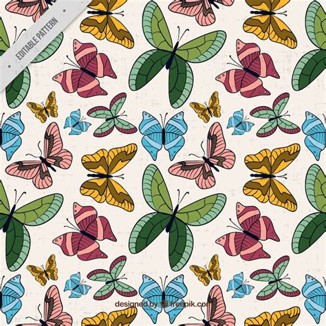 Butterfly With Pattern Vectors Download Free High Quality Vectors