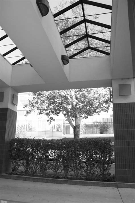 Concentration Chase Maughan Adv Photo B1