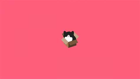 Minimalist Cat Wallpapers Top Free Minimalist Cat Backgrounds