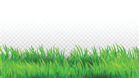 Grass Vector Art Icons And Graphics For Free Download