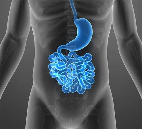 Robotic Gastrectomy Surgery Dr Brian Harkins