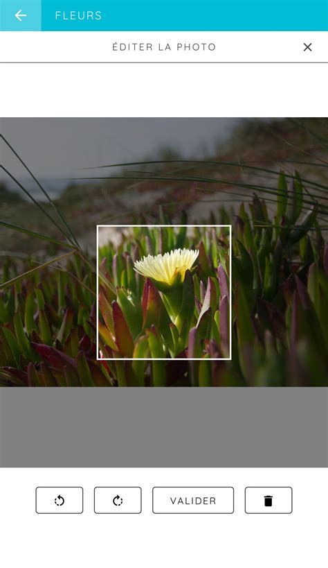 Leximage Apk For Android Download