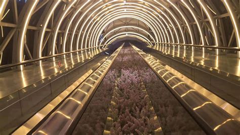 通向光明的远方 供应链金融的未来之路 知乎