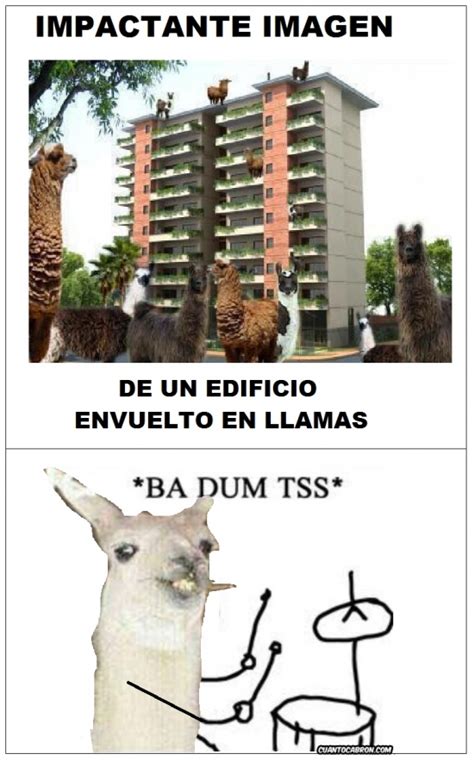 Cuánto Cabrón Edificio En Llamas