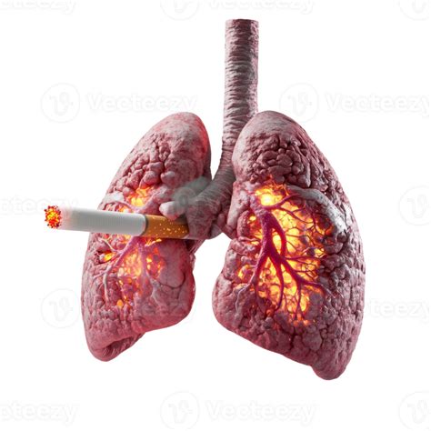 Damaged Lungs