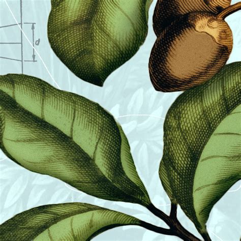 The Protestant Work Ethic By Gene Edward Veith