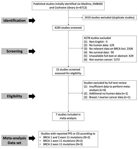 Survival Outcomes Associated With The Location Of Brca Mutations In Ovarian Cancer A Systematic