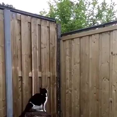 Leslie Wilson On Linkedin Barbara Nylund Ramos You Might Want To Know About This