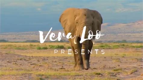 Vera Loo Presents Spring In Africa Youtube