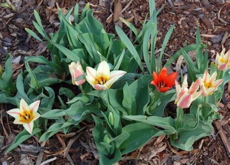 Conservation Park Pullman Wa My Pullman Paradise