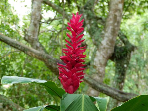 Mochileiros E Campistas Pacoti Ce
