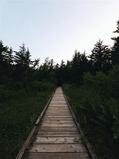 Katie Aladynamedkatie On Threads