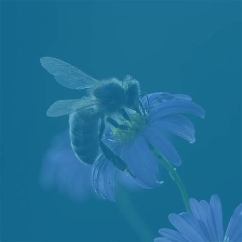 [video] Talitha Davis On Linkedin Proudtoworkatbmo Bmogrowthegood